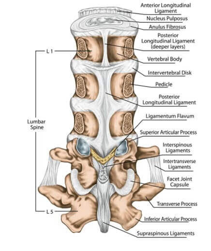 Lower Back Injuries After a Car Accident in Houston